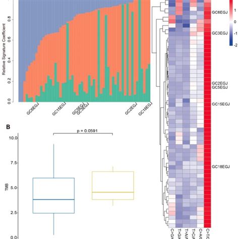 The Comparison On Mutations Of Gc Between Our Data And Tcga Database