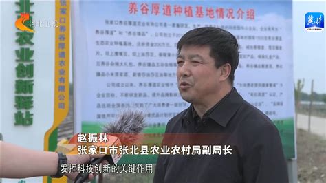 【加快建设经济强省美丽河北 奋力谱写中国式现代化建设河北篇章】河北：发展盐碱地特色农业 全力保障粮食安全