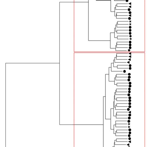 hierarchical agglomerative clustering of the answers given by the
