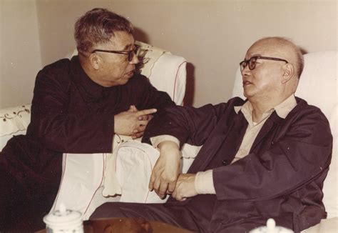 缅怀唐有祺先生
