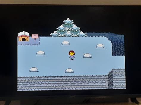 Why Is Nothing Spawning Genocide Route Rundertale