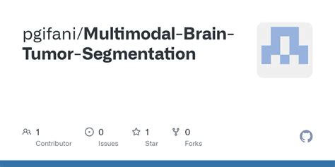 GitHub Pgifani Multimodal Brain Tumor Segmentation