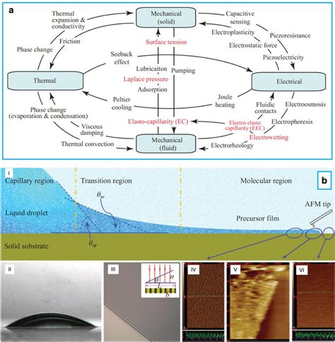 A Schematics Of Diverse Areas Of Research In Moving Contact Line Download Scientific Diagram