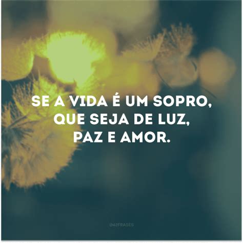 Algumas Frases A Vida é Um Sopro Para Aproveitar A Totalidade De Cada
