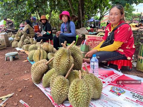 រដូវទុរេន អ្នកស្រុកមេមត់ដាក់លក់ទុរេន ដូចផ្សារត្រី