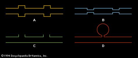Low Pass Filter Acoustics Britannica