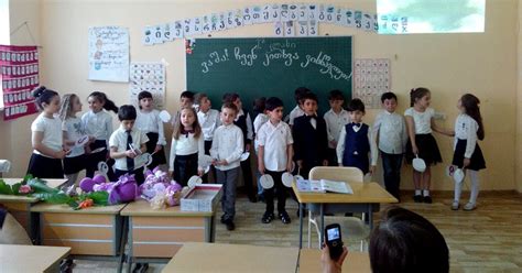 დალი თებიძე მასწავლებლის პორტფოლიო სადამრიგებლო აქტივობების