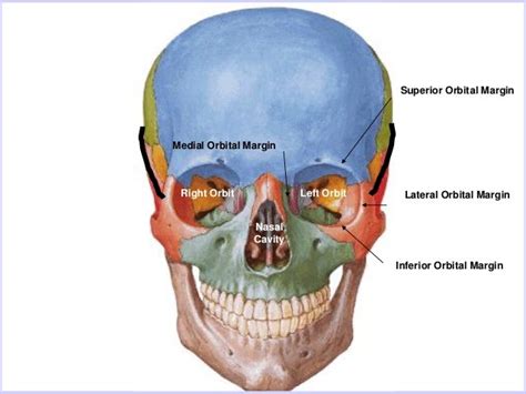 Lecture 1 Orbit Dr Noura