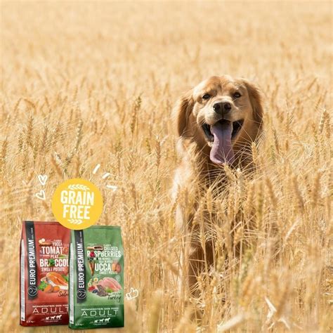 ЗаказКорма Ru интернет магазин кормов для домашних животных зоомагазин продажа кормов оптом