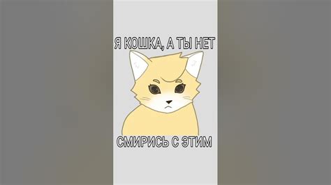Просто Я кошка а ты не смирись с этим🤫 Youtube