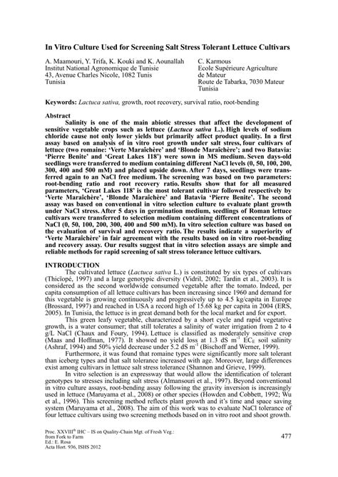 Pdf In Vitro Culture Used For Screening Salt Stress Tolerant Lettuce