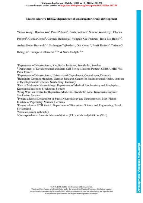 Pdf Muscle Selective Runx3 Dependence Of Sensorimotor Circuit Development