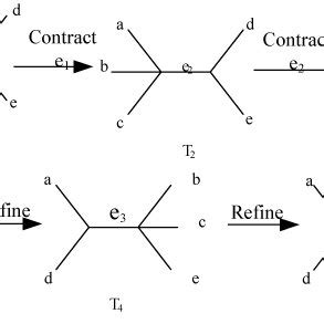 The Illustration Of A 2 ECR Process Download Scientific Diagram