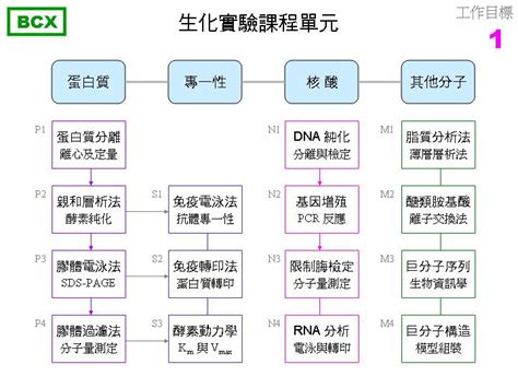 生化實驗計畫書