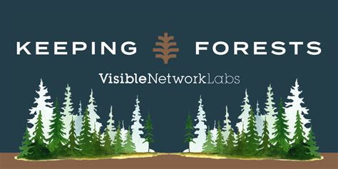 Visible Network Labs Partners With Keeping Forests To Leverage Network Science For Forest