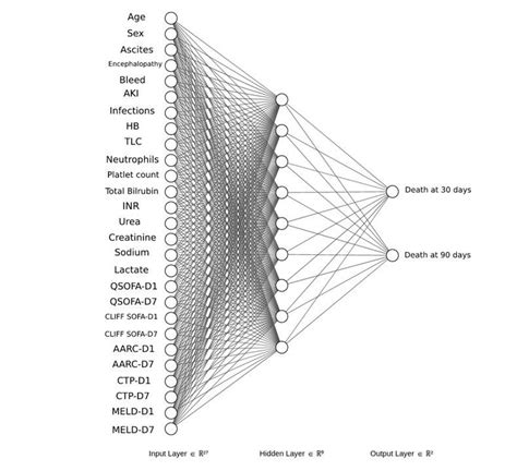 Neural Network Model With An Input Layer A Hidden Layer And An Output Download Scientific