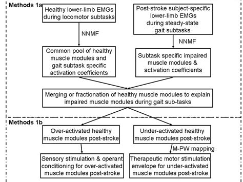 Methods 1 Nnmf Non Negative Matrix Factorization M Pw M Wave To Download Scientific Diagram