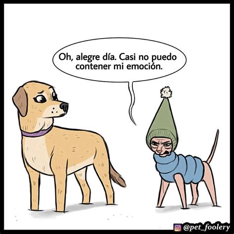 Pixie Y Brutus Artofit