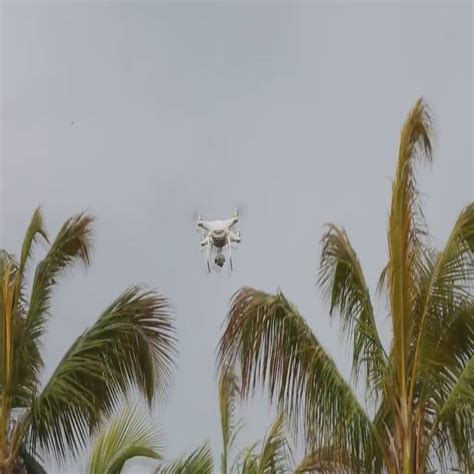 Dronebirdaircraft Instance Segmentation Dataset V3 2024 04 07 2