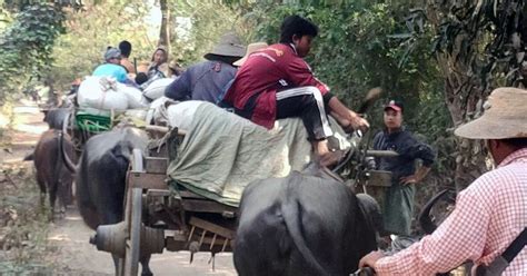 မြောင်မြို့နယ်ကို စစ်ကြောင်းထိုးလာလို့ ဒေသခံတစ်သောင်းကျော် ထွက်ပြေးရ မြန်မာဌာန