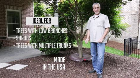 How To Install And Fill A Treegator Jr Pro Slow Release Watering Bag YouTube