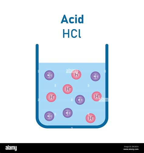 Acid Hcl Solution Electrolytic Dissociation Scientific Vector Illustration Isolated On White