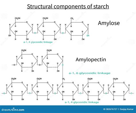 Starch Structure Diagram