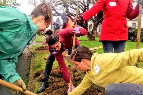 The Lifesaving Potential Of Trees Friends Of Trees