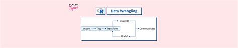 Data Wrangling In R Programming Scaler Topics