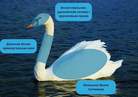 How Do Neural Networks Generate And Recognize Images Best Ai Art