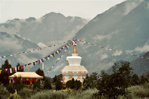 pn nageshwaran on linkedin thank you jason m friedman there are very few hotels i have had a coup…