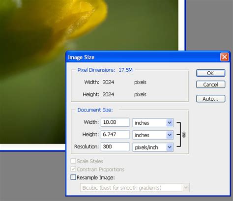 About Photo Resolution And Dpi Beginner Questions Photo Net