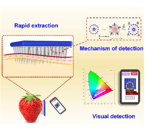 A Smartphone‐integrated Coated Microneedle Sensor For In‐situ Extraction And Rapid Detection Of