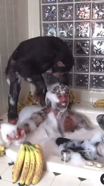 Its Easy Bathin Apes 🤷‍♂️ 😳 Ytshorts Pets Youtube