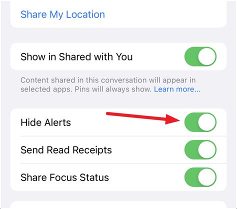 What Does Hide Alerts Do In Imessage