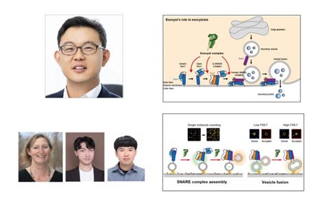 최신 연구뉴스 연구활동 연구 서울대학교 자연과학대학 최신 연구뉴스 연구활동 연구 서울대학교 자연과학대학