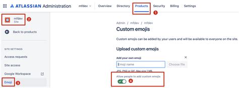 No Custom Emoji Option