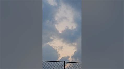 아까 그 늑대인간이 변한 늑대와 새끼 돼지 Youtube