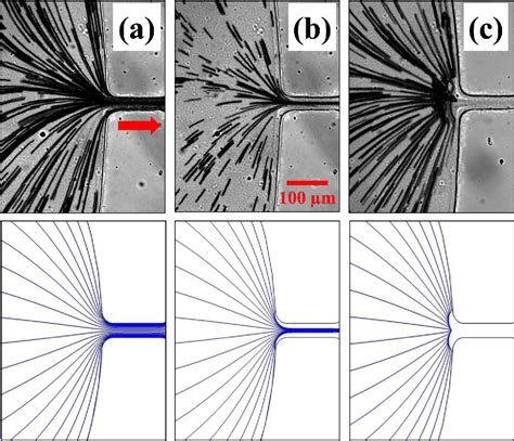 Figure 1 From Microfluidic Separation Of Live And Dead Yeast Cells