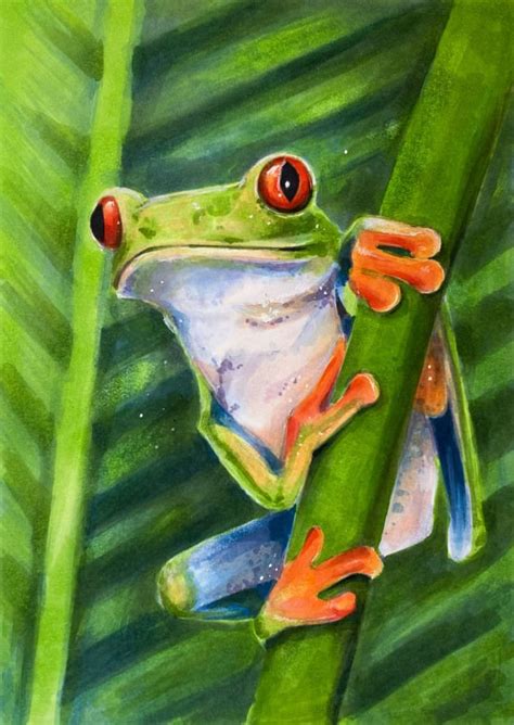 Як намалювати жабу поетапні легкі способи малювання для початківців та