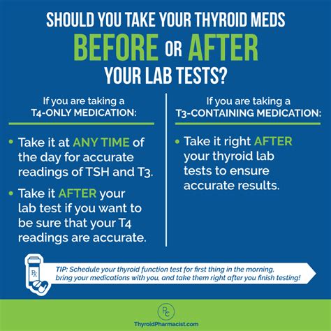 Thyroid Gland Hormones And Thyroid Function Tests In Me