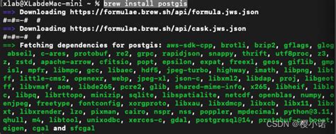 【环境安装】mac M1通过brew配置postgrespostgisbrew Postgresql Csdn博客