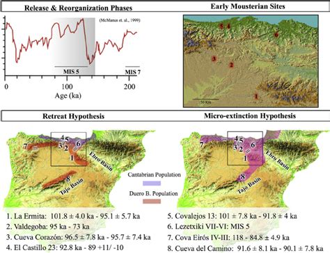 Second Population Dynamic Model Adaptive Phases Possible Population