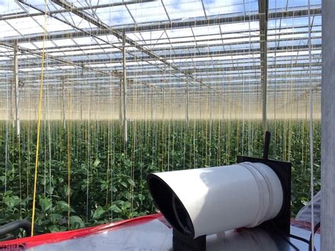 Why Hive Monitoring Eyesonhives