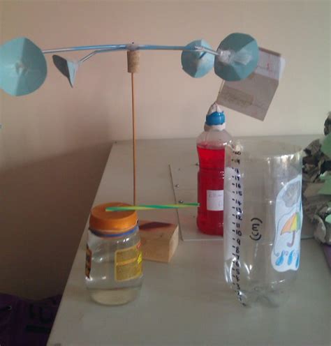 Weather Stations Teaching The Science And Technology Standard Beyond Penguins And Polar Bears