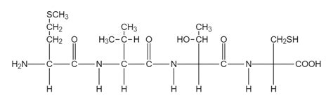 For The Polypeptide Met Val Thr Cys Write The Structural Fo Quizlet