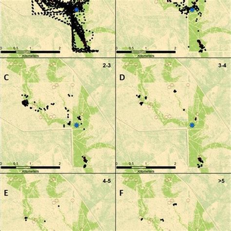 First Passage Time Values For Locations Interpolated At 110 M Intervals Download Scientific
