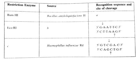 Analytical Questions With Answers From Pradeep Biology Chapter 3 Biotechnology Principles And