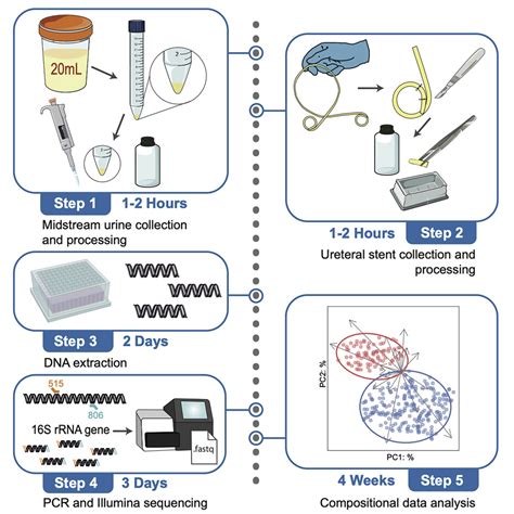 Efficient Nucleic Acid Extraction And 16s Rrna Gene 43 Off