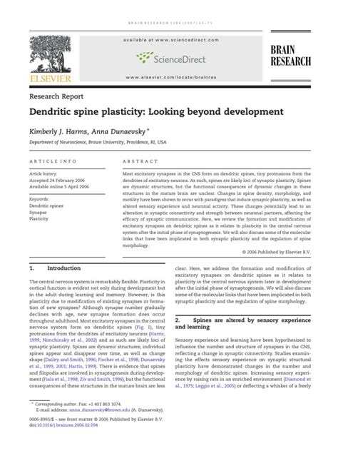 Dendritic Spine Plasticity Looking Beyond Development Pdf